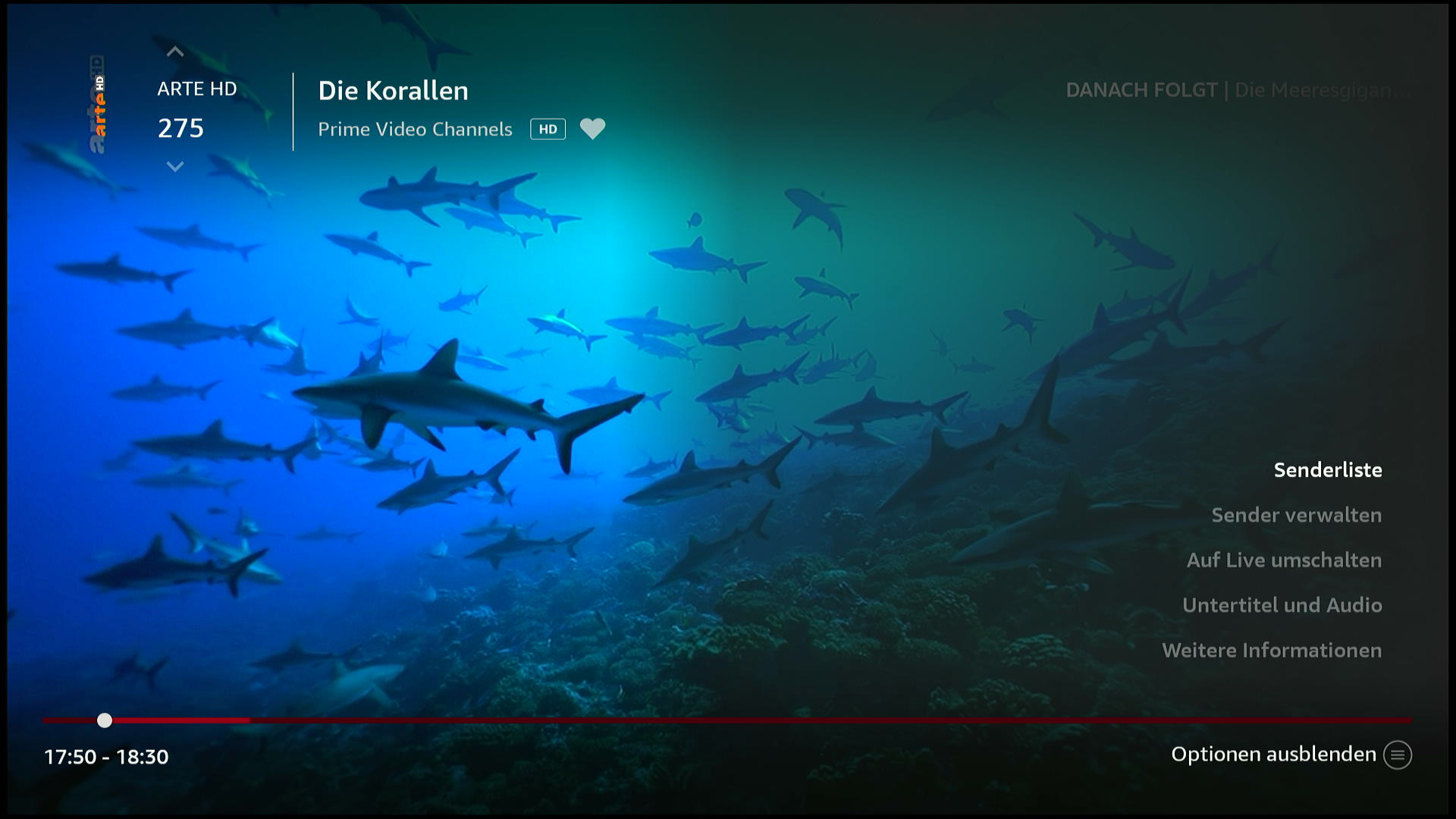 Live-TV auf dem Amazon Fire TV: So geht’s - HIFI.DE