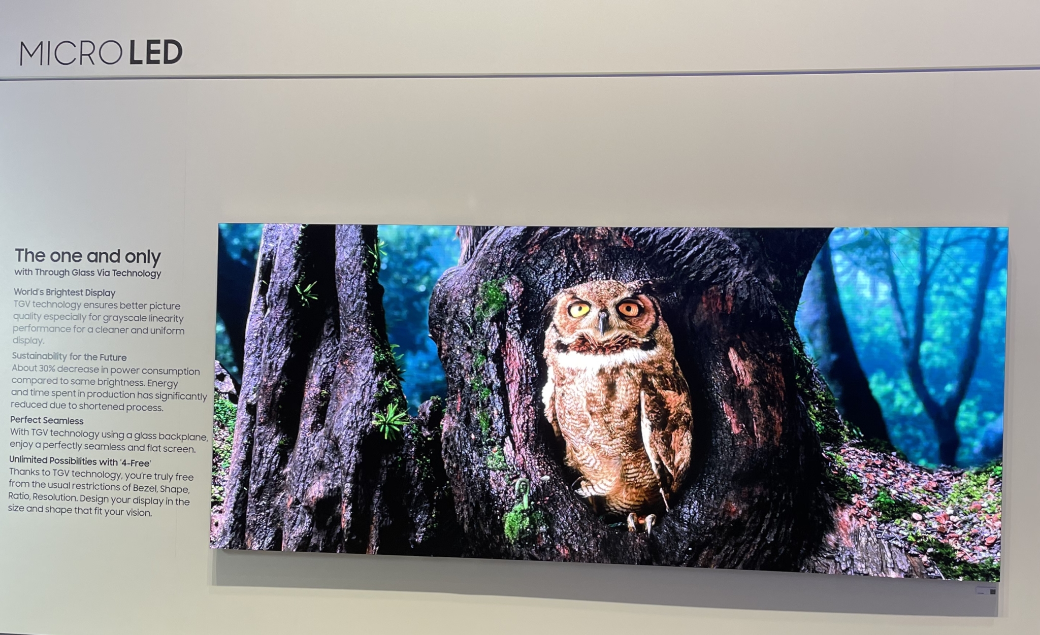 OLED vor dem Ende? Neue Technik nimmt Markt für Groß-TVs ein